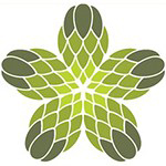 Fibonacci Brewing - Big Things From A Tiny Brewery | The Gnarly Gnome